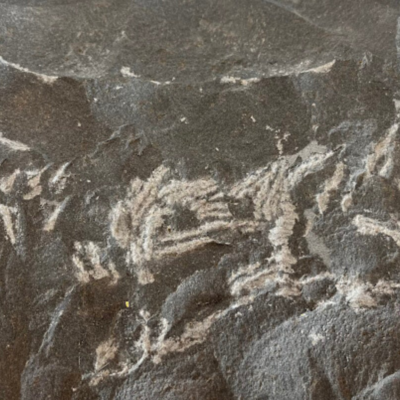 Basalt sleeping - Aumédéco